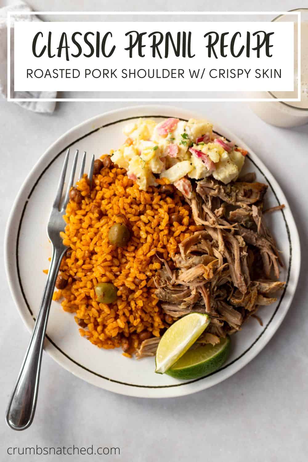 Roast Pork Shoulder - Pernil Recipe - Crumb-Snatched